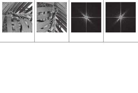 25 The Discrete Fourier Transform Feature Extraction And Image Processing 2nd Edition Book