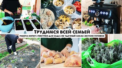 Все при деле🏡Покупки для сада | Суп с домашней лапшой |Ожидание ...