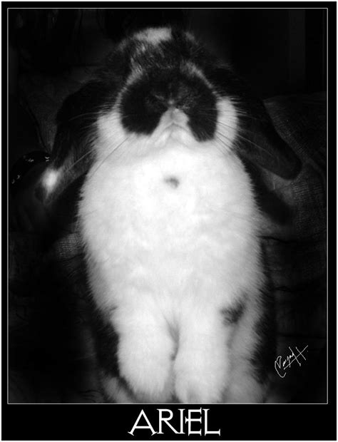 Ariel Standing Up By Kittycyn On Deviantart