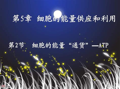 细胞的能量通货 Atpword文档在线阅读与下载无忧文档