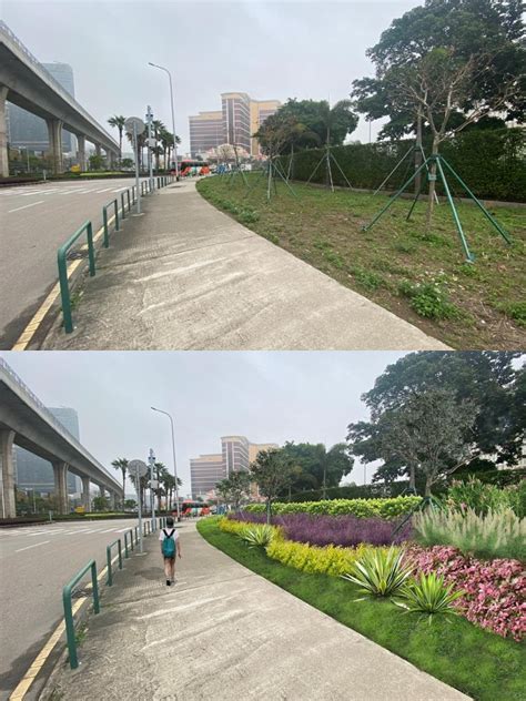 市政署有序開展綠化帶優化工作 澳門特別行政區政府入口網站