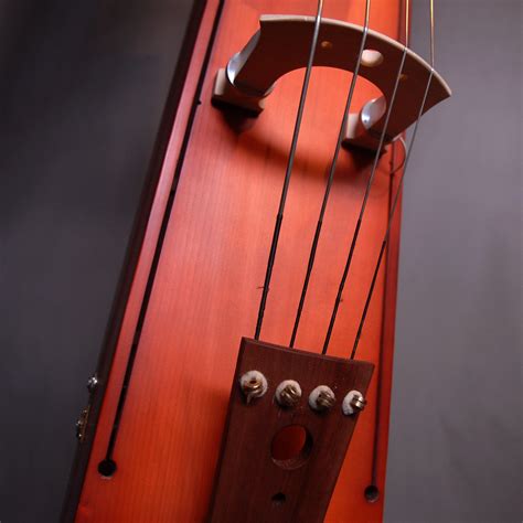 Contrebasse De Voyage Atelier De Lutherie Philippe Berne
