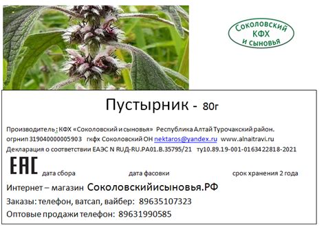 Пустырник - 80г - Алтайские травы