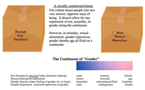 Ways Of Thinking F 310 Constructing Gender