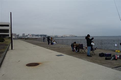 うみかぜ公園の釣り混雑状況（bbq、バスケットボールコート、壁打ちテニス、スケーボー、bmx）（2024年4月） 釣道楽