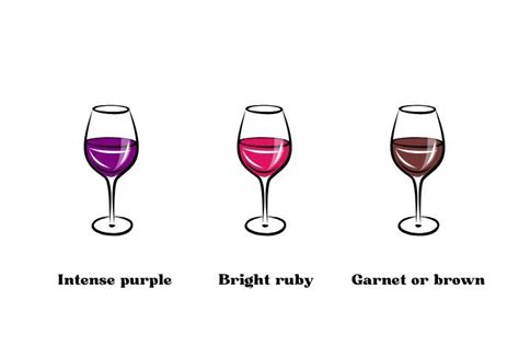 Wine Colour Explained Vinissimus