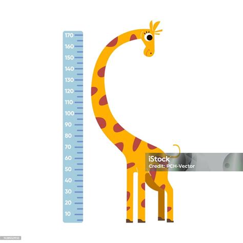 만화 긴 목 기린 벡터 삽화와 높이 눈금자 흰색으로 격리된 귀여운 만화 캐릭터와 함께 아이들의 키를 측정하기 위한 벽 스티커 기린에 대한 스톡 벡터 아트 및 기타 이미지