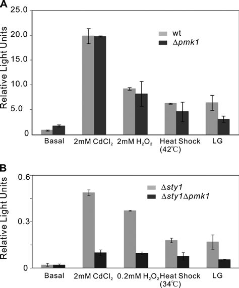 Detection Of Atf1 Transcriptional Activity In Pmk1 And Sty1pmk1 Cells