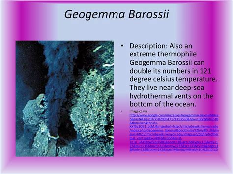 Bacteria And Archaea Example Organisms Power Point Pptx Chemistry Science