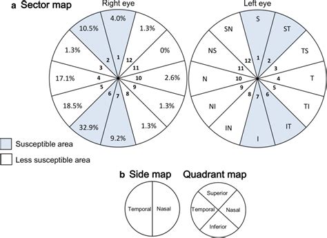 The Topographic Distribution Of Disc Hemorrhage A The Optic Disc Was Download Scientific