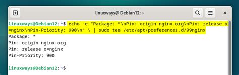How To Install Nginx In Debian 12 Linuxways