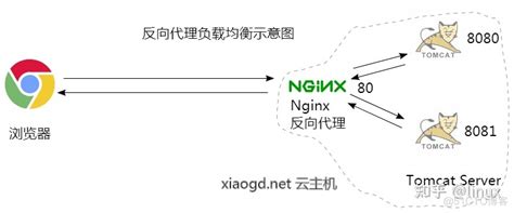 如何查看经过nginx转发之后的路径 怎么查看nginxmob64ca13fbd761的技术博客51cto博客