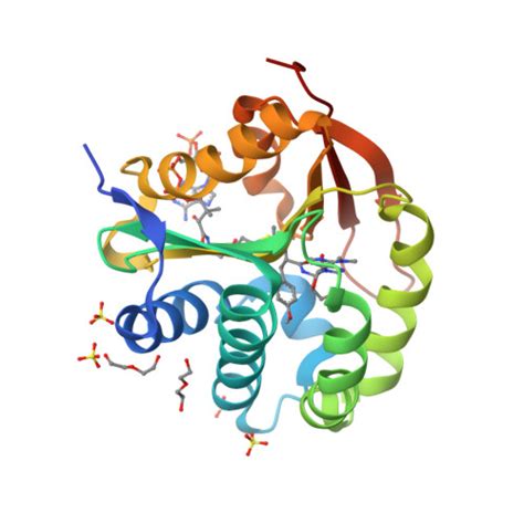 Puromycin Dihydrochloride Targetmol