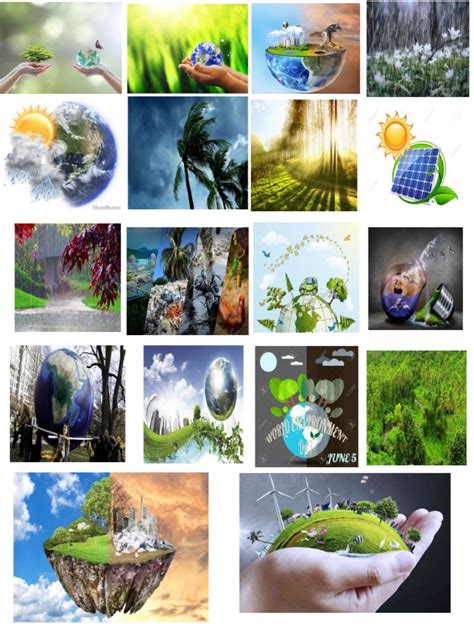 Imagenes Medio Ambiente Pdf