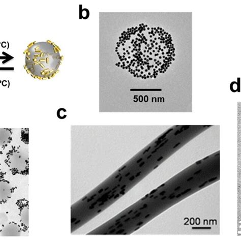 Examples Of Au Pnipam Based Thermosensitive Nanosystems A Schematic
