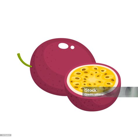 신선한 열정 과일 흰색 절연의 밝은 벡터 일러스트 레이 션 패션프룻에 대한 스톡 벡터 아트 및 기타 이미지 패션프룻 일러스트레이션 과일 Istock