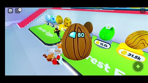 Doing A Hatching Challenge With Siyu In Pet Simulator X Youtube