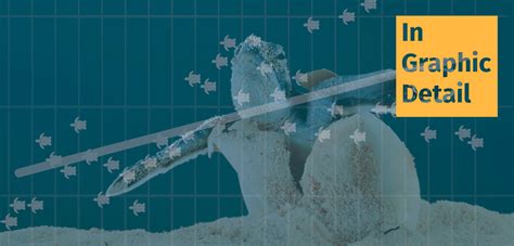 In Graphic Detail Sea Turtle Feminization Hakai Magazine