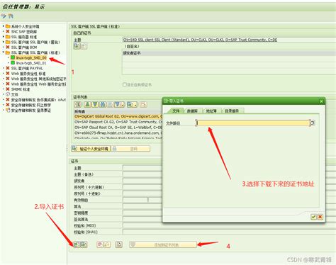 sap 调取 api 接口 sap api接口 csdn博客
