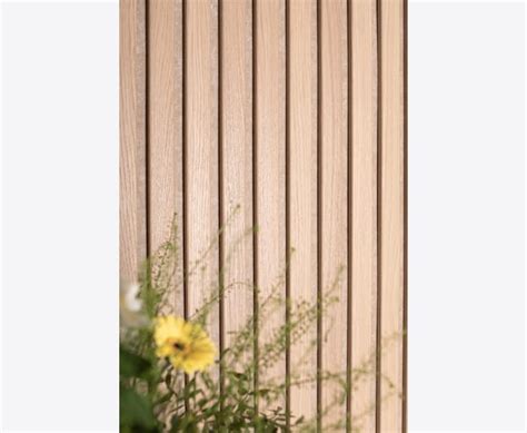 Ribwall Ek Raw Blond Väggpanel
