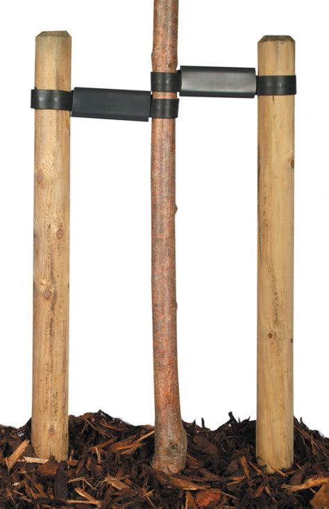 Tree Strap Jumbo Spacers 38cm X 30cm Country Supplies