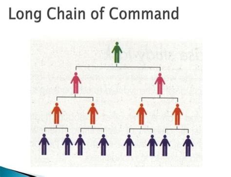 Chain Of Command Organizational Structure