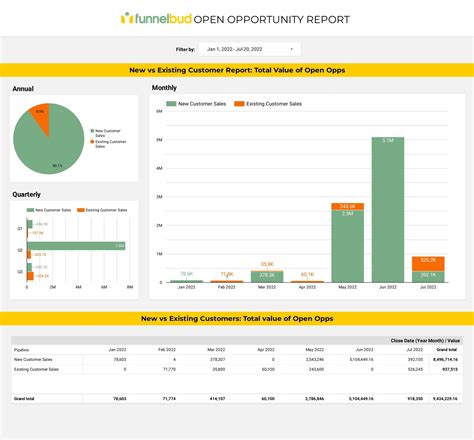 New Vs Returning Customers Report Solutions Funnelbud