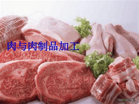 畜产品课件 肉品的组织结构word文档在线阅读与下载无忧文档