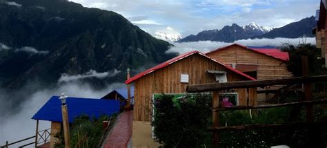 Blue Poppy Resort Auli What To Expect Timings Tips Trip Ideas By MakeMyTrip