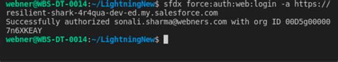 Setup For Salesforce Cli Authorization Of An Org Through Cli In Linux
