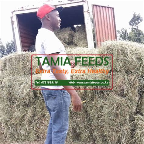 Star Grass Hay Tamia Feeds