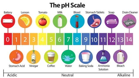 Physiochemical Parameters In E Sciencepptx