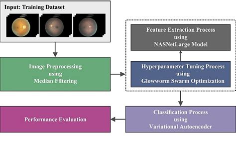 Figure 1 From A Deep Learning Grading Classification Of Diabetic