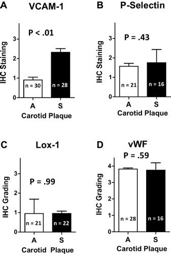 Endothelial Vascular Cell Adhesion Molecule 1 Is A Marker For High Risk Carotid Plaques And
