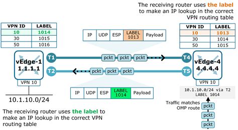 understanding vpns and labels