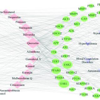 PDF Integrated Analysis Of Metabolomics Combined With Network