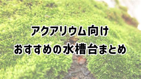 アクアリウムとは？始め方や作り方、水槽など必要なものを解説【初心者必見】｜myarium【マイリウム】