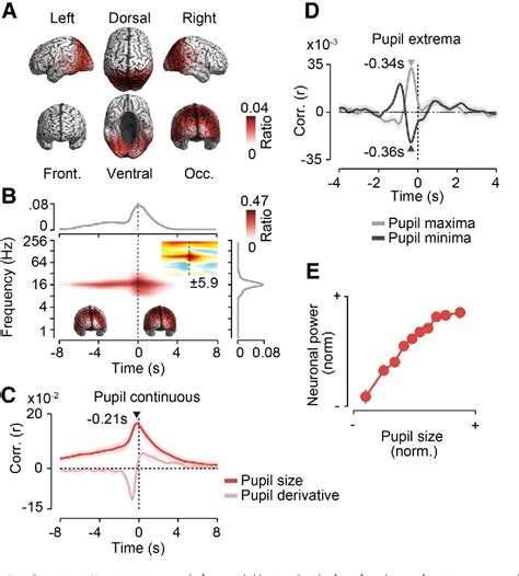 [pdf] Spectral Fingerprints Of Cortical Neuromodulation Semantic Scholar