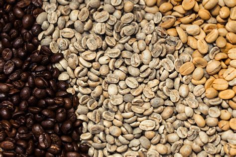 여러 색과 로스트 타이밍의 단계 Arabica 커피의 다양 한 유형을 구이 되었습니다 구이에 대한 스톡 사진 및 기타 이미지