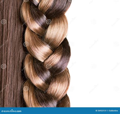 Braid Hairstyle Stock Image Image 36923131
