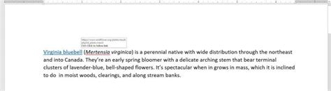 How To Add Hyperlinks To A Word Document Techrepublic