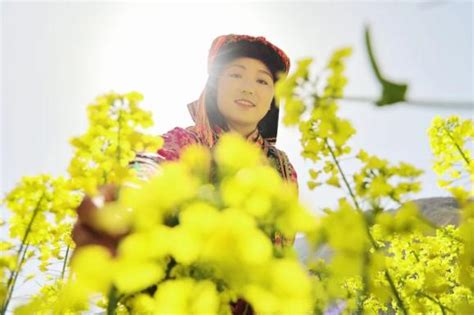 甘南迭部穿过油菜花海春日里的洛大村太美了 澎湃号政务 澎湃新闻 The Paper