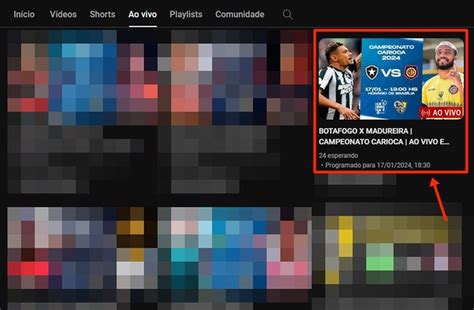 Botafogo X Madureira Ao Vivo Veja Onde Assistir Horário E Escalações