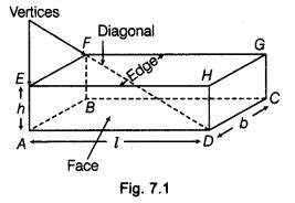NCERT Class 9 Maths Lab Manual Verify the Algebraic Identity a b ³
