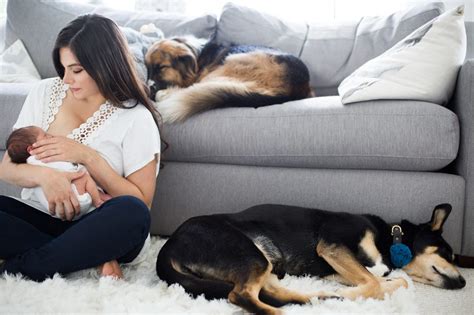 Breastfeeding While Pregnant Tandem Nursing Nicole Digi
