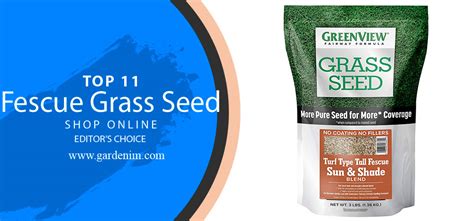 Best Fescue Grass Seed 2023 11 Best Turf Type Tall Fescue Grass Seed