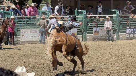 샌프란 Vlog 하우디 🤠 서부의 찐 스포츠 로데오 직관 Youtube