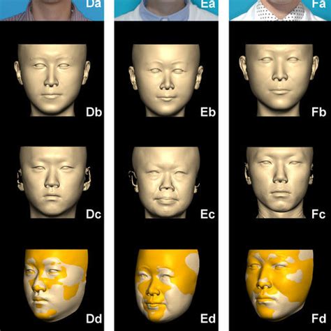 Comparison Of Facial Reconstructions With Targets From The Top Row