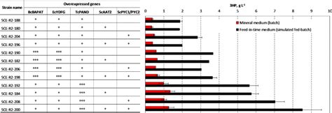 Strain Optimization Influence Of Integrating Multiple Copies Of Genes Download Scientific