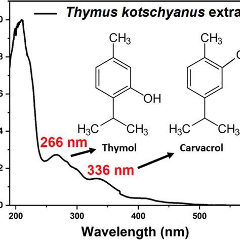 Schematic Of Thymus Kotschyanus Extraction Preparation Download